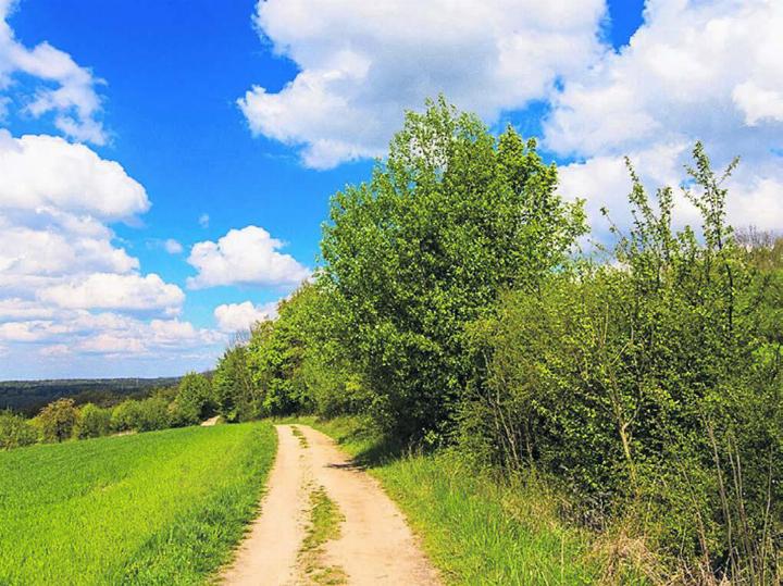Labiola wird verlängert