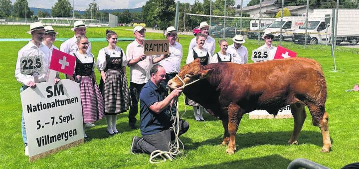 Der Sieger kriegt «Rammo»
